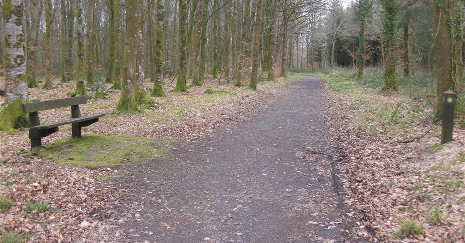 Derrynoyd Wood Trail - Draperstown - Discover Northern Ireland
