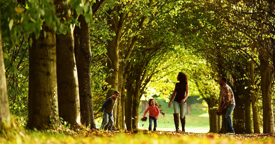 Castle Ward - Strangford - Discover Northern Ireland
