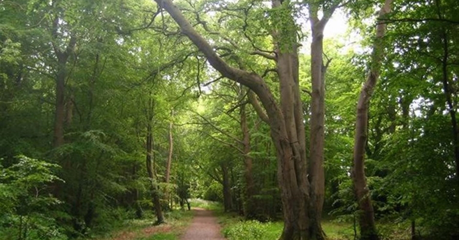 Clandeboye Way – Helen’s Bay to Whitespots Country Park - - Discover ...