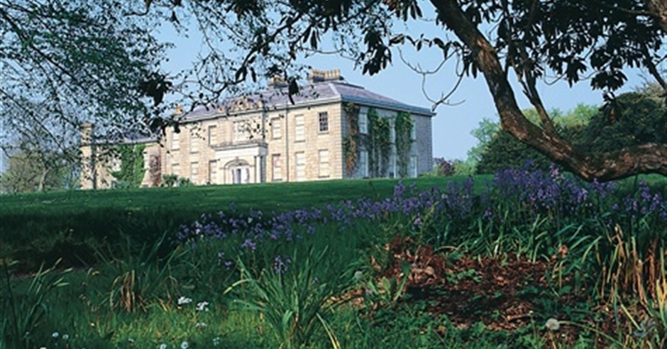 The Argory Lime Tree Walk - Moy - Discover Northern Ireland