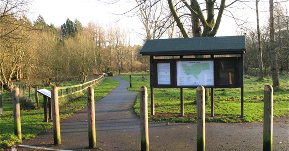 Somerset Forest - Coleraine - Discover Northern Ireland