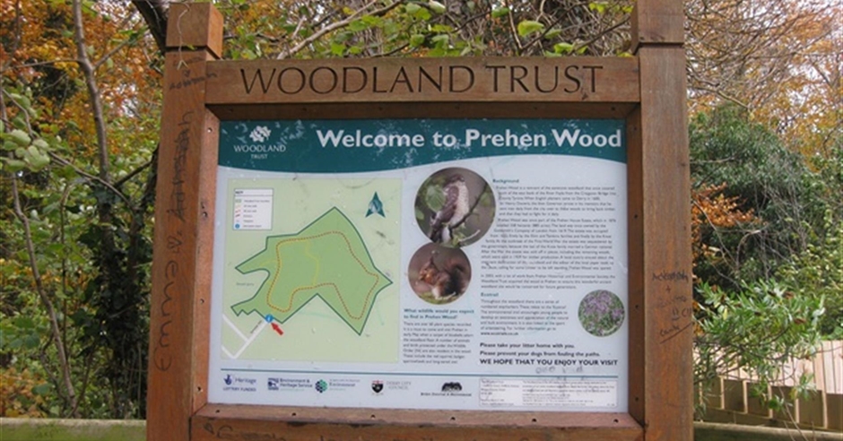 Prehen Wood - Derry~Londonderry - Discover Northern Ireland