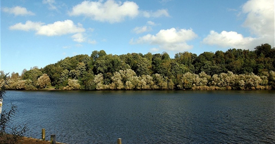 Mountsandel Wood - Coleraine - Discover Northern Ireland