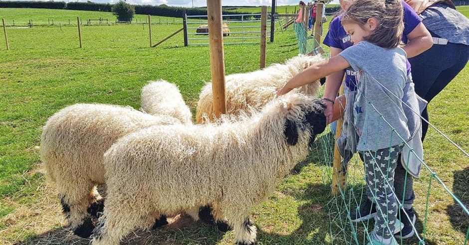 Streamvale Open Farm - Belfast - Discover Northern Ireland