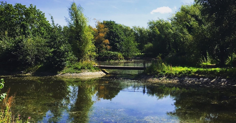 Victoria Park - - Discover Northern Ireland