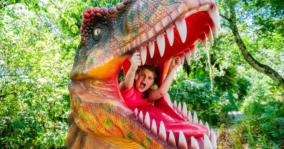 The Ark Open Farm - Newtownards - Discover Northern Ireland