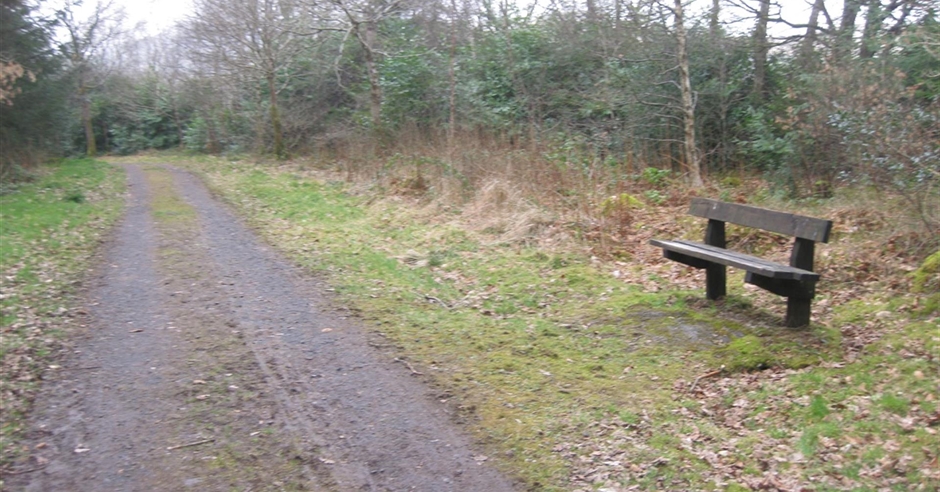 Derrynoyd Wood Trail - Draperstown - Discover Northern Ireland