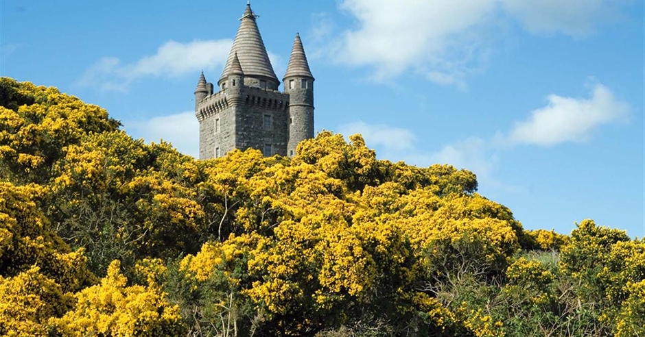Scrabo Tower - Newtownards - Discover Northern Ireland