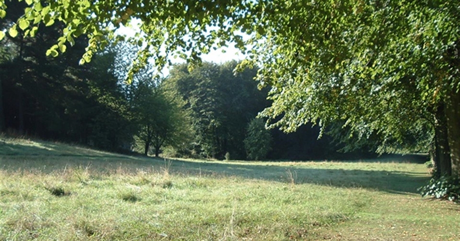 Stormont Woodland Walks & Fitness Trail - - Discover Northern Ireland