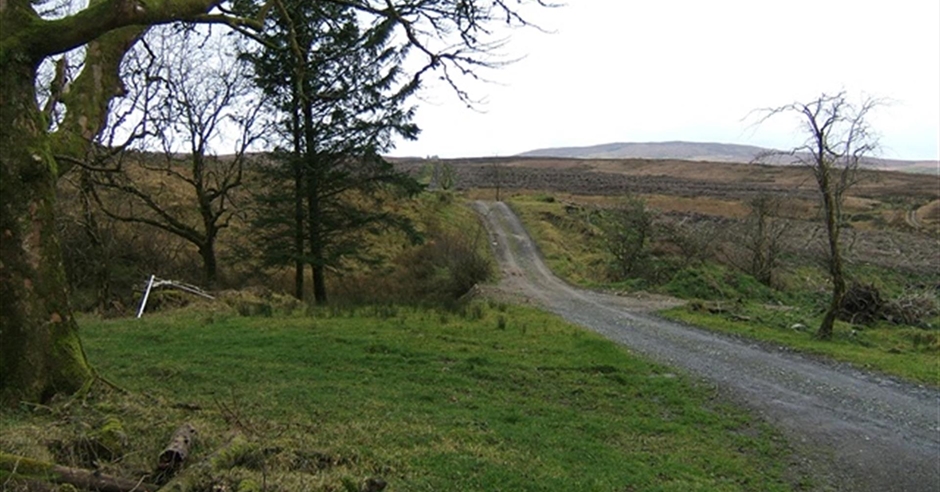 Causeway Hill - from Killeter village - - Discover Northern Ireland