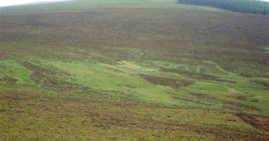Croaghan Breen Forest Walk - Armoy - Discover Northern Ireland
