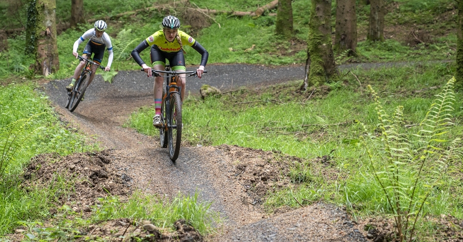 Picture This: Garvagh Forest - Garvagh - Discover Northern Ireland