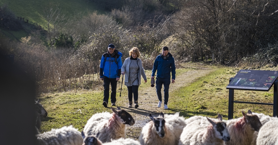 Ramble with Robert - Ballygally - Discover Northern Ireland
