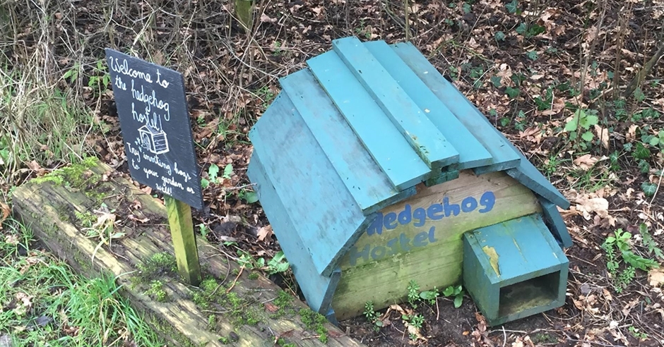 Portmore Lough - Craigavon - Discover Northern Ireland