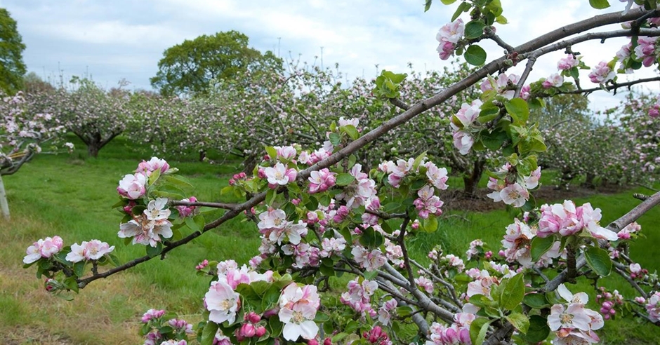 Armagh Cider Company - Portadown - Discover Northern Ireland