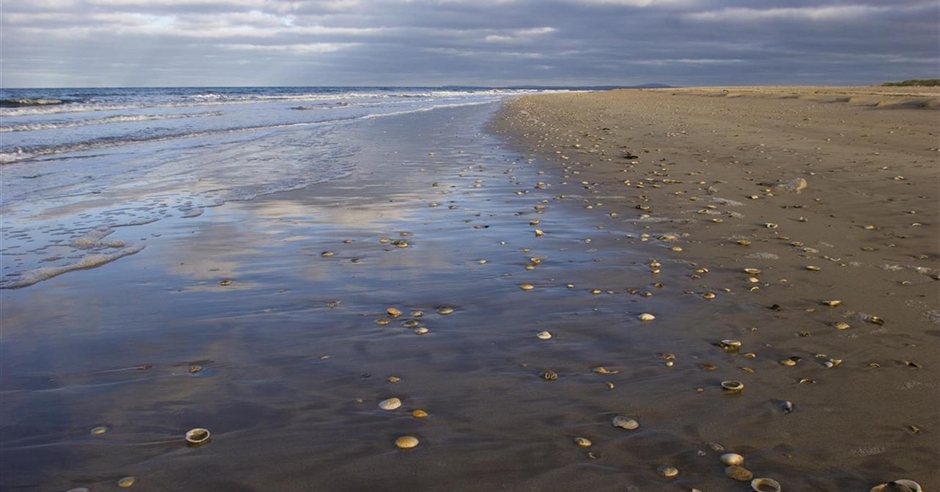 Magilligan Point Nature Reserve - Limavady - Discover Northern Ireland