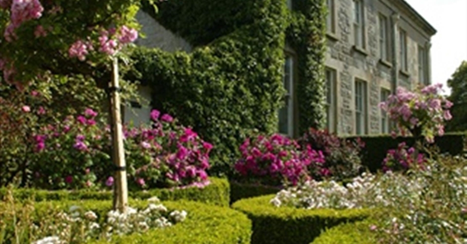 The Argory Lime Tree Walk - Moy - Discover Northern Ireland