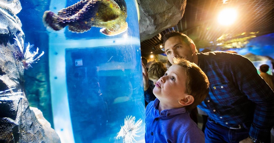 Exploris Aquarium & Seal Sanctuary - Portaferry - Discover Northern Ireland