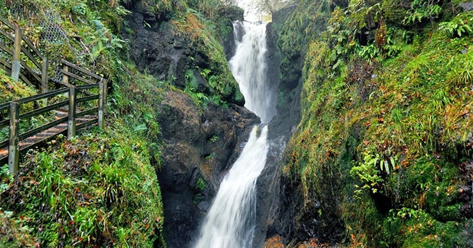 Glenariff Forest Park, Viewpoint Trail - Glenariff - Discover Northern ...