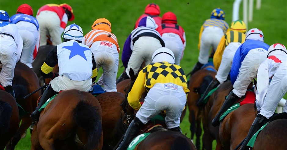 Downpatrick Racecourse - Downpatrick - Discover Northern Ireland