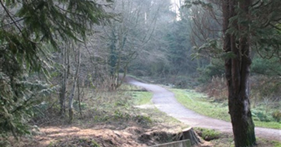 Somerset Forest - Coleraine - Discover Northern Ireland