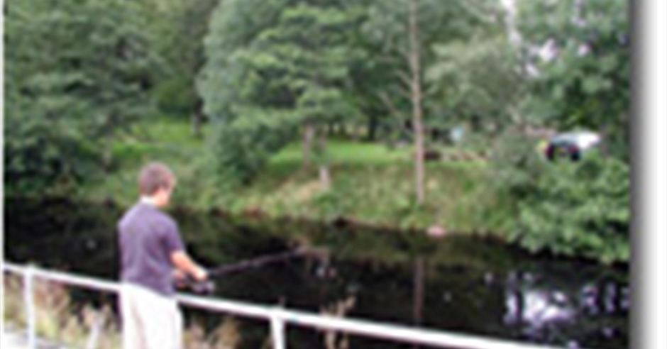 Garvagh Forest - Garvagh - Discover Northern Ireland