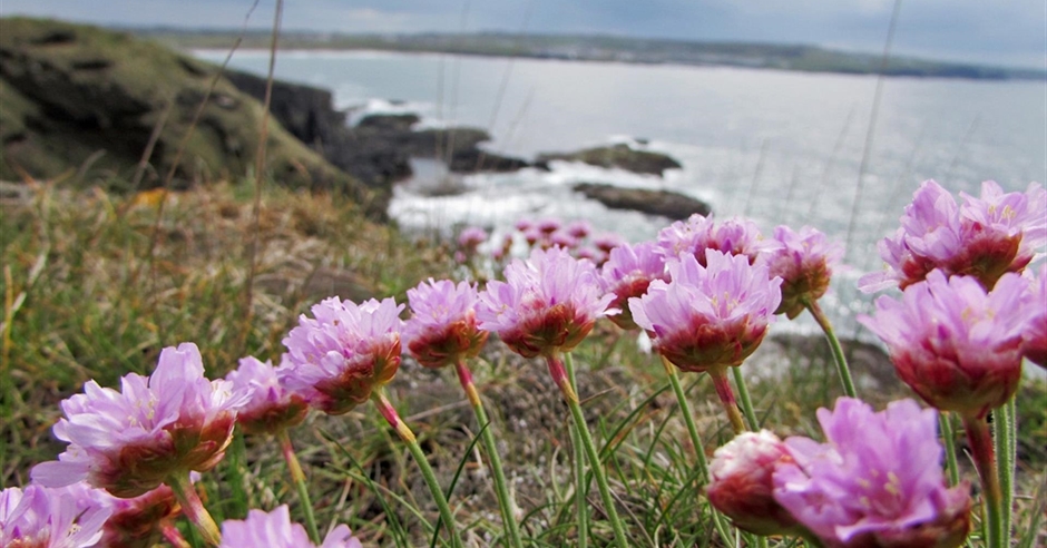 Portballintrae Causeway Loop - Portballintrae - Discover Northern Ireland