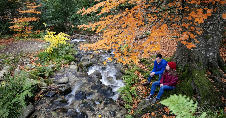 Kilbroney Park - Rostrevor - Discover Northern Ireland