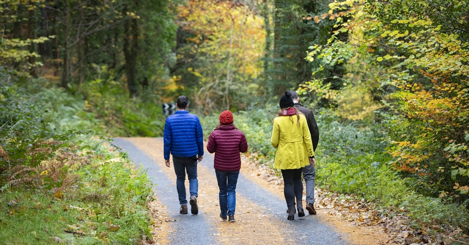 Kilbroney Park - Rostrevor - Discover Northern Ireland