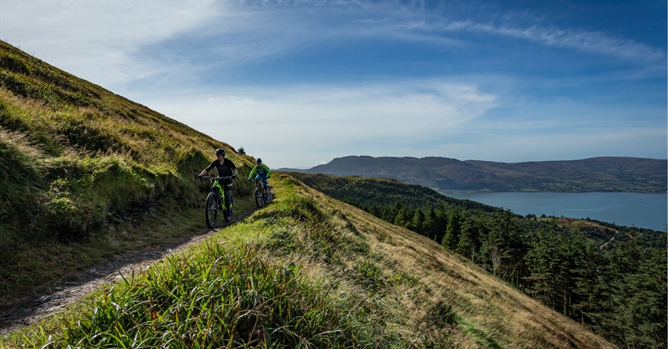 Rostrevor Mountain Bike Trails - Rostrevor - Discover Northern Ireland