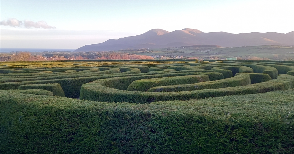 Castlewellan Peace Maze - Castlewellan - Discover Northern Ireland