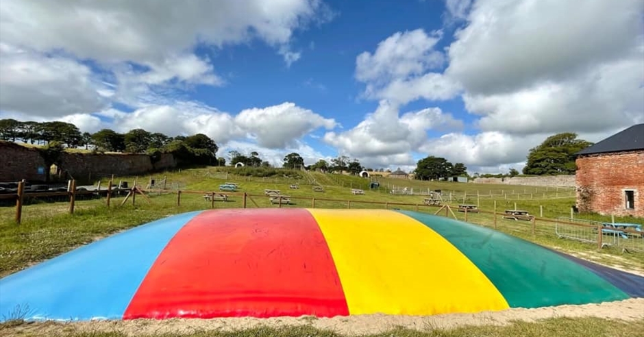 Mountpanther Farm Park - Clough - Discover Northern Ireland