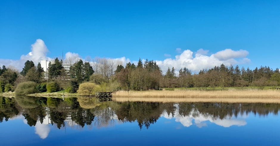 Meander and Dander - A River in Time - Coleraine - Discover Northern ...