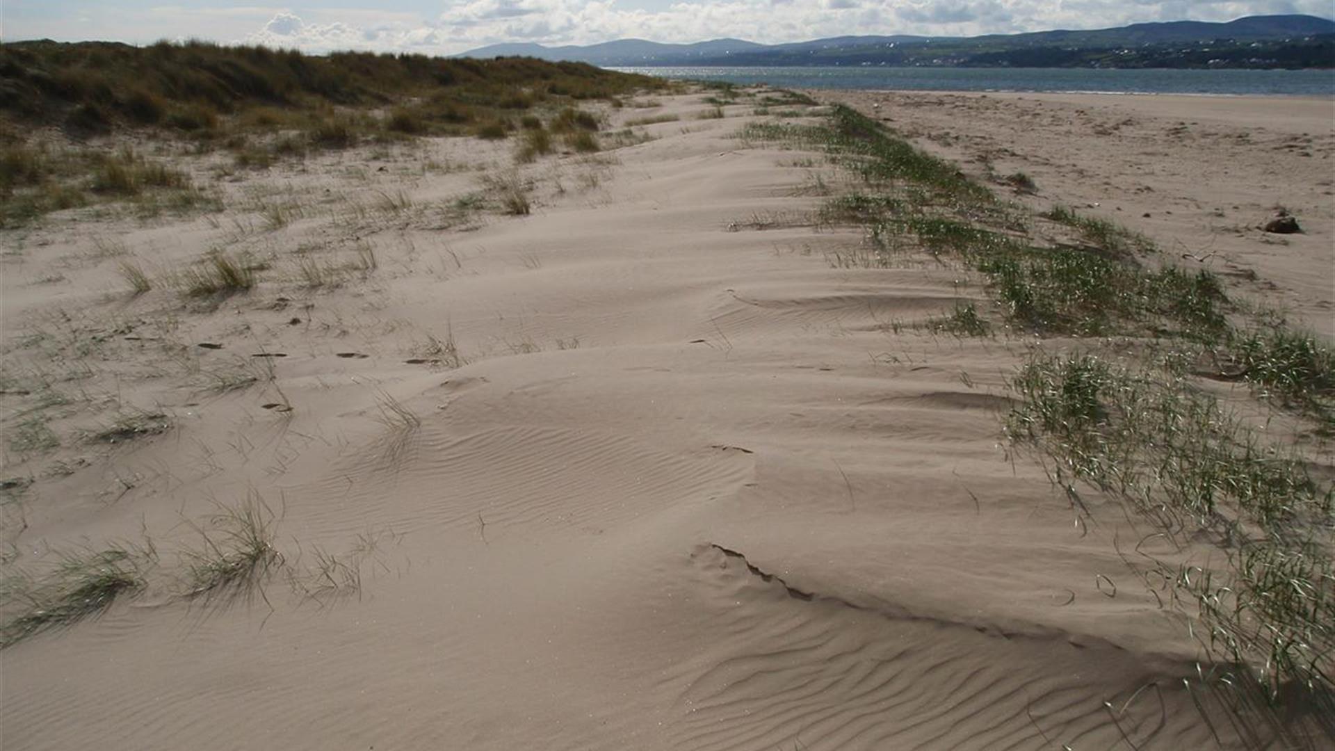 Magilligan Point Nature Reserve - Limavady - Discover Northern Ireland