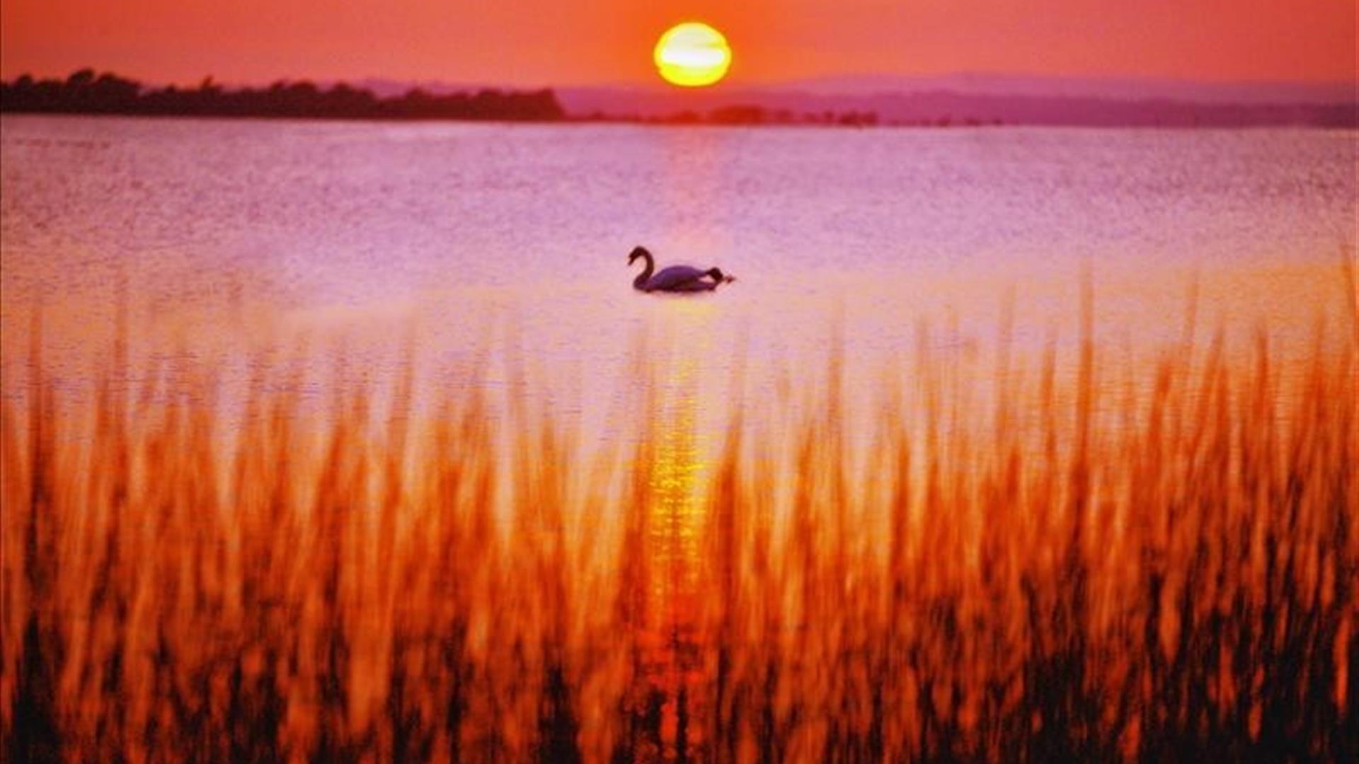 Ballyronan Marina - Magherafelt - Discover Northern Ireland