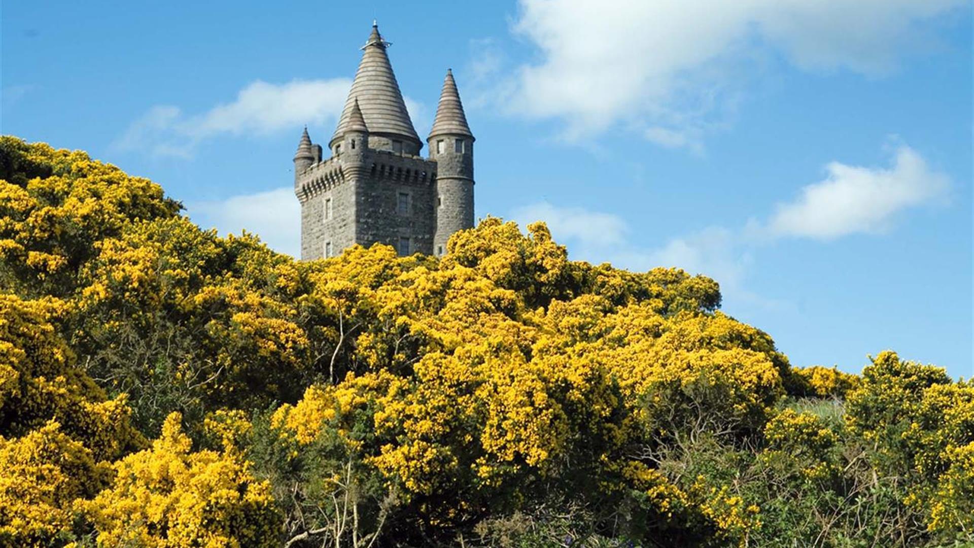 Scrabo Tower - Newtownards - Discover Northern Ireland
