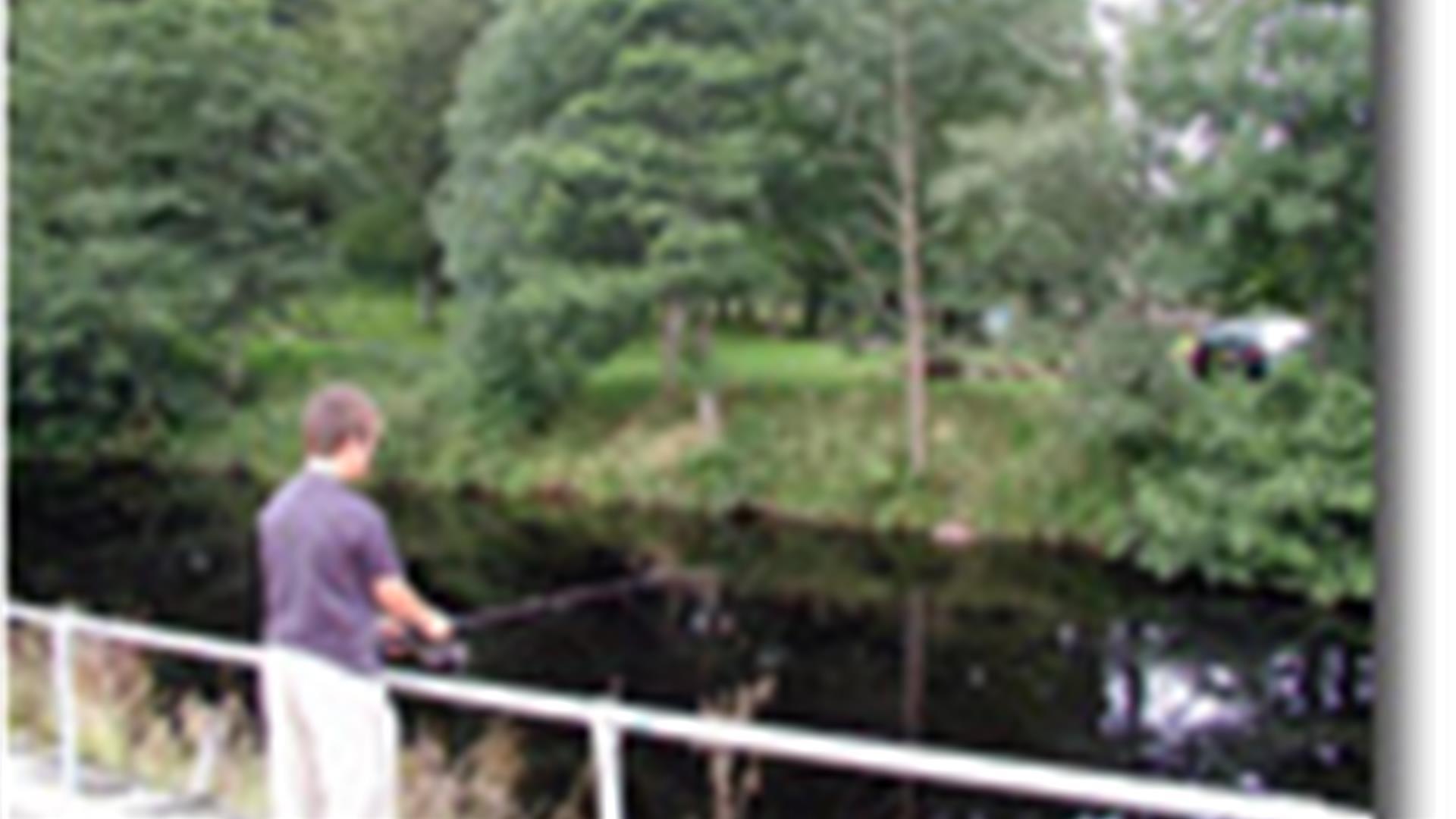 Garvagh Forest - Garvagh - Discover Northern Ireland