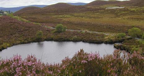 Discover The Sperrin Mountains | Discover NI