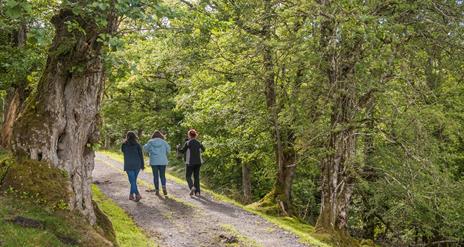 Things to Do in County Fermanagh | Activities & Attractions
