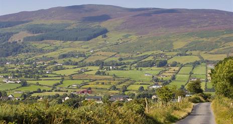 Things to do in Newry - Discover Northern Ireland