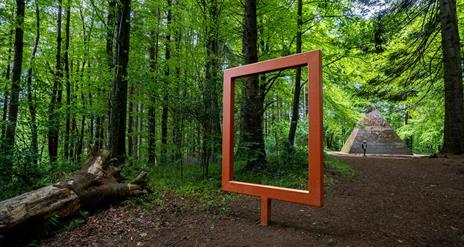 Forest Parks in Northern Ireland | Discover NI