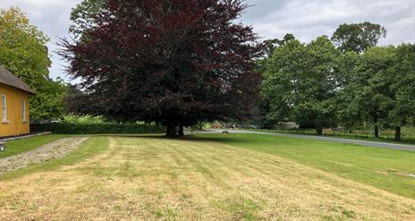 Things to do in Newry - Discover Northern Ireland