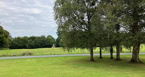 Things to do in Newry - Discover Northern Ireland