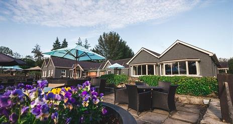 Best Restaurants in Northern Ireland | Discover NI
