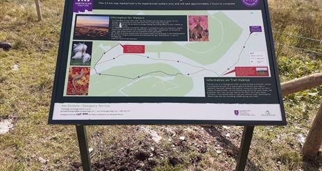 Forest Parks in Northern Ireland | Discover NI