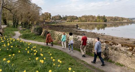 Things To Do In Co Down | What To Do In Down | Discover NI