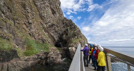 Forest Parks in Northern Ireland | Discover NI