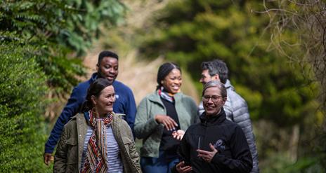 Food & Drink Tours in Northern Ireland | Taste & Explore