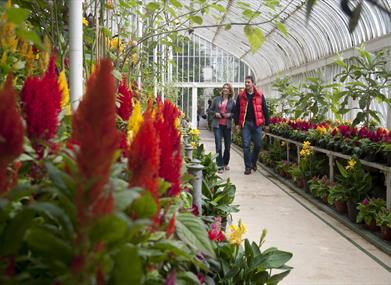 Belfast Botanic Gardens and Palm House - Belfast - Discover Northern ...