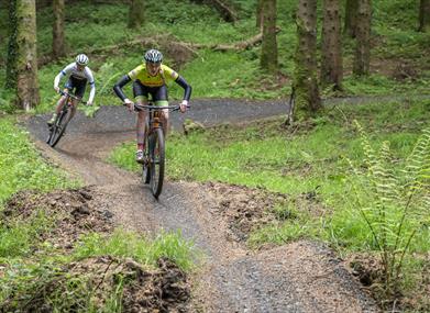 Picture This: Garvagh Forest - Garvagh - Discover Northern Ireland